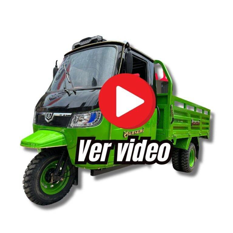 Moto carguero YS350FARAON1-N - Motos Yansumi